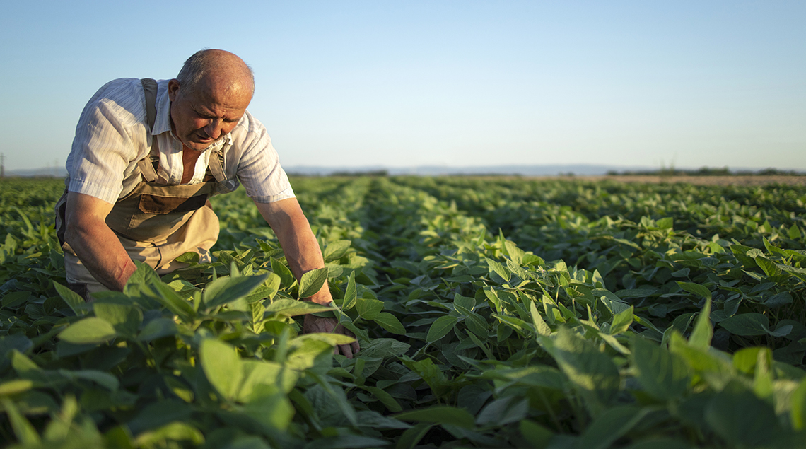 La Unión visibiliza el esfuerzo de los agricultores en su nueva campaña