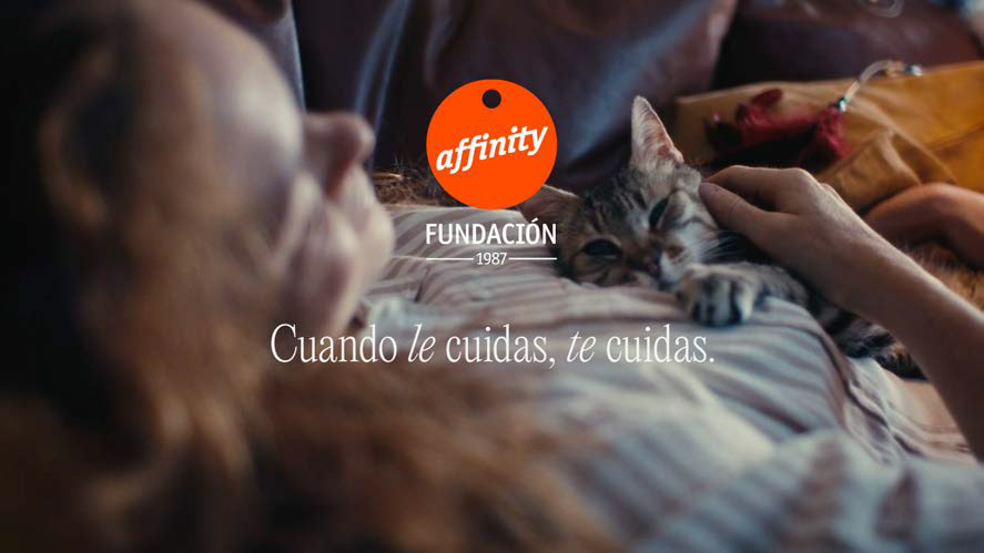 Fundación Affinity pone en valor los beneficios físicos que generan los animales