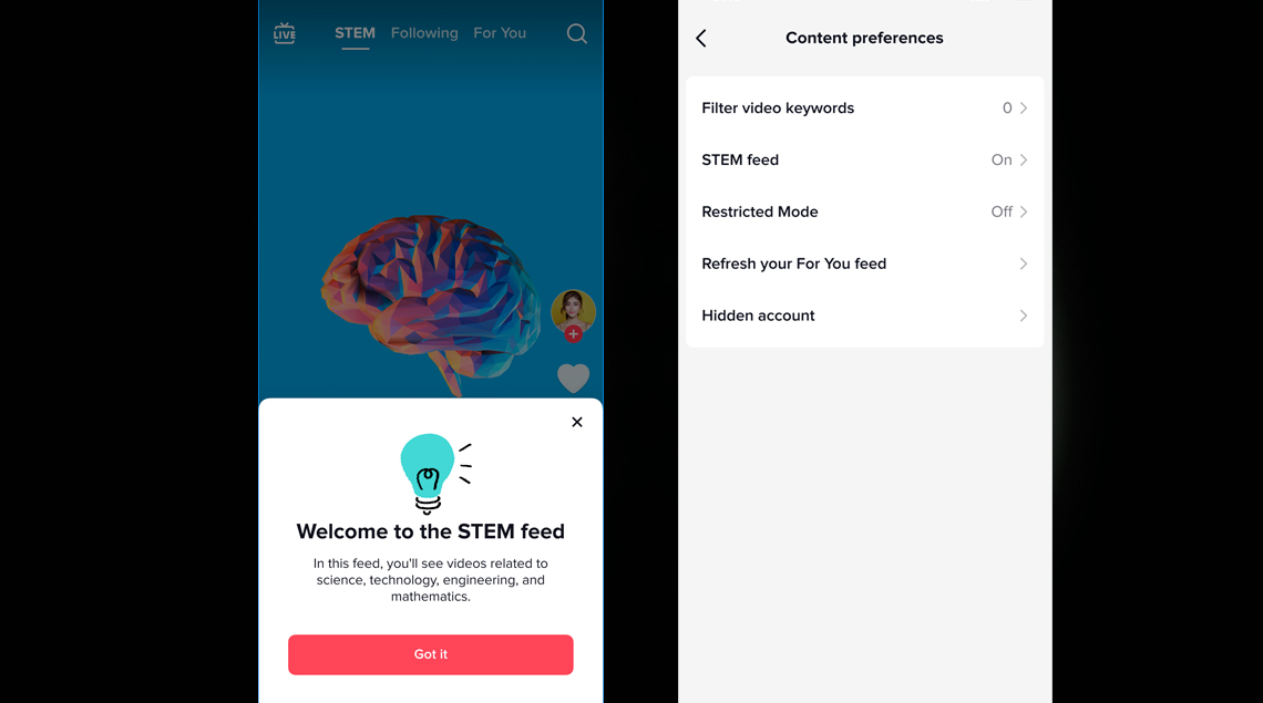 TikTok lanza en Europa el feed STEM para ofrecer contenido científico - IPMARK | Información de ...